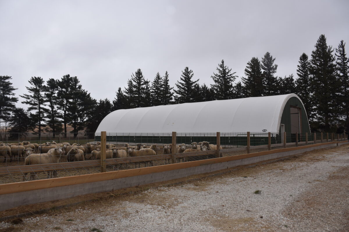 Lambing Barn Testimonial | Accu-Steel Fabric Covered Buildings
