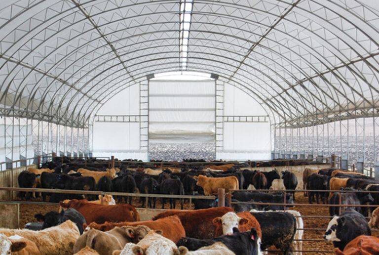 Livestock Buildings | Accu-Steel
