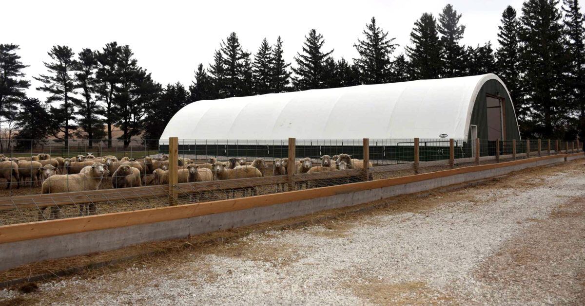 Sheep Barns | Accu-Steel