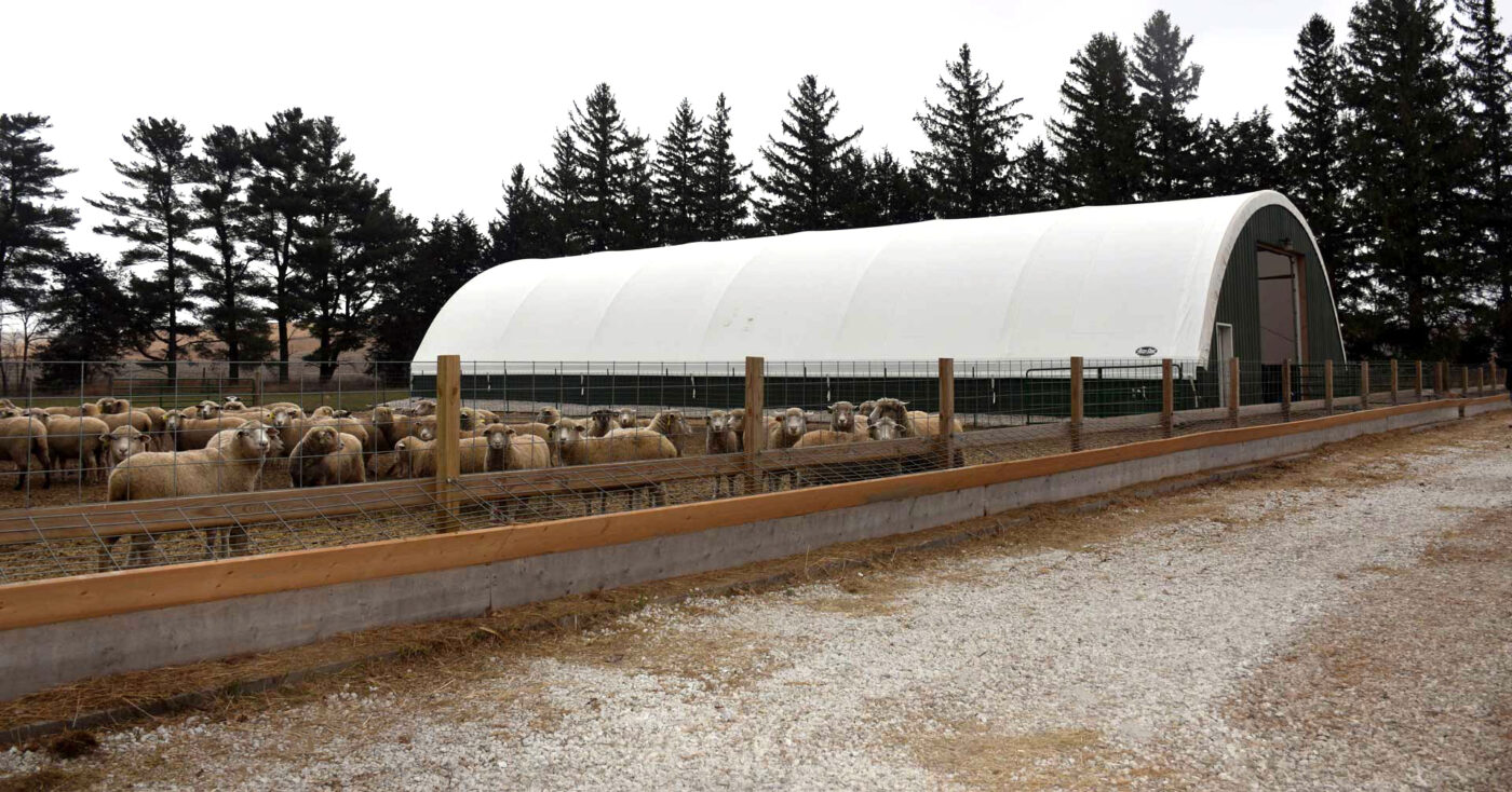 Sheep Barns | Accu-Steel