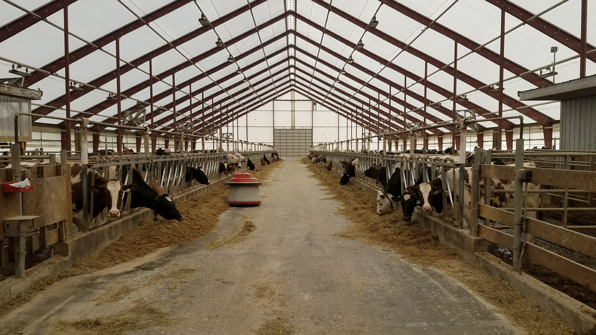 Next Generation Farming with New Dairy Building and Robots | Accu-Steel ...