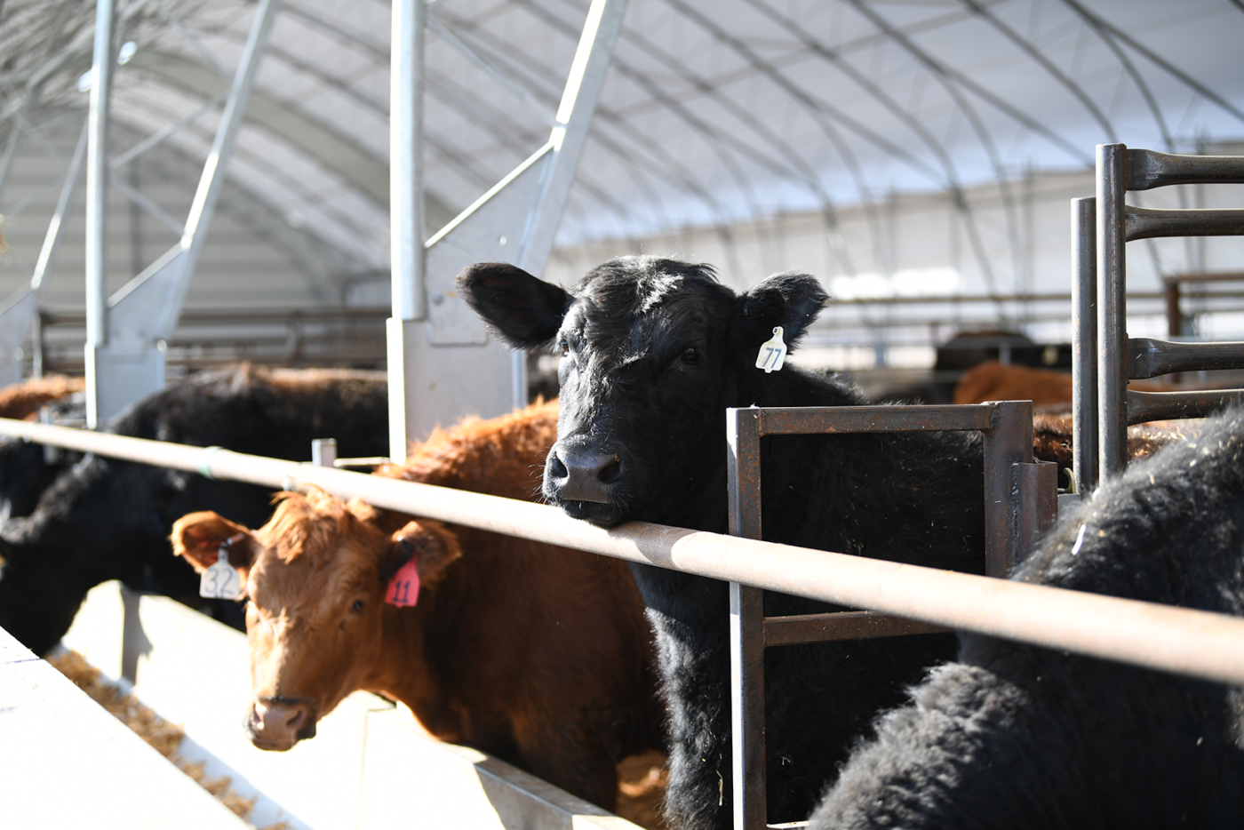 Accu-Steel Partner and EQIP Expert Spotlight: Justin Sprague | Accu-Steel Fabric Covered Buildings