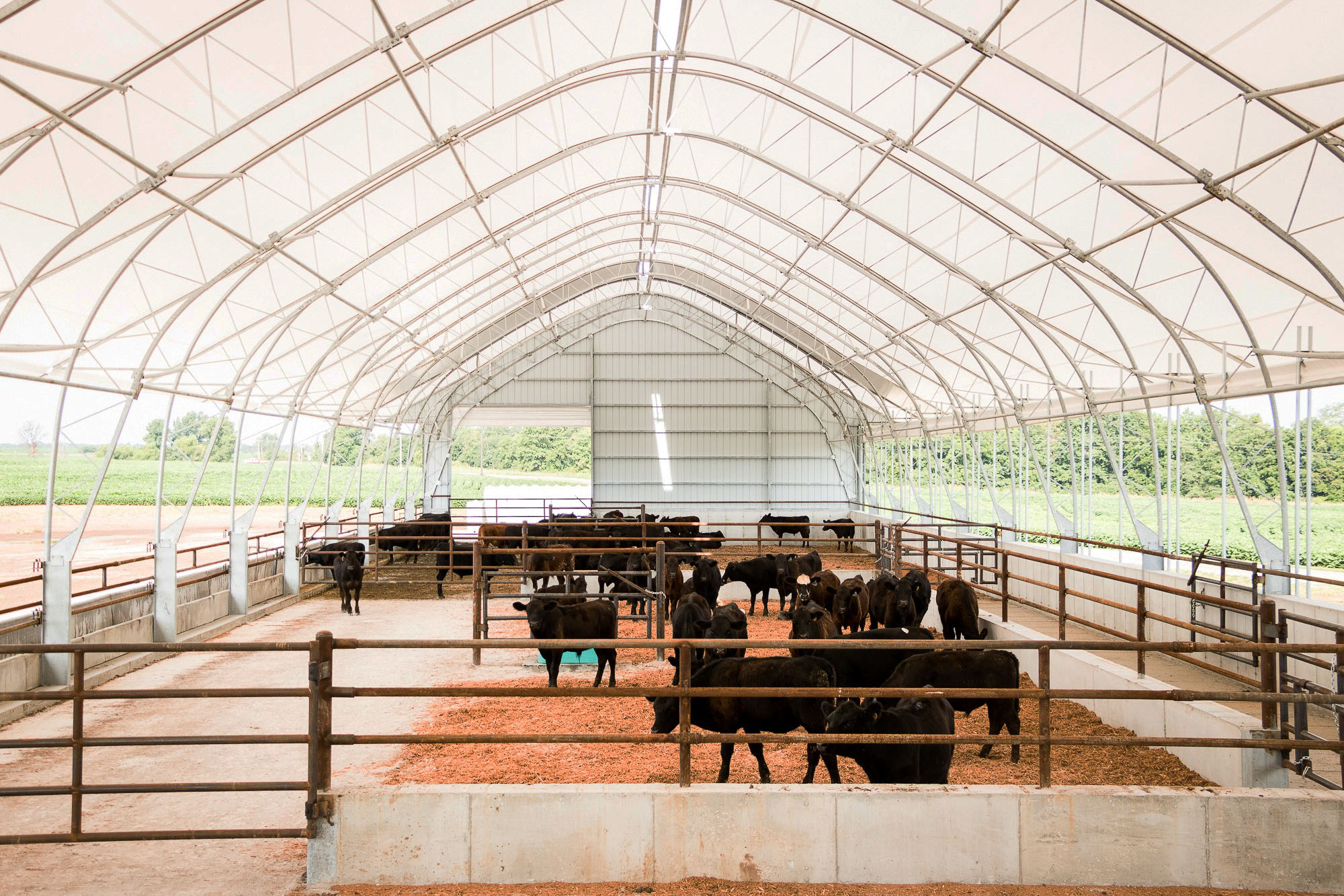How to Choose the Right Type of Barn for your Farming Operation. | Accu ...